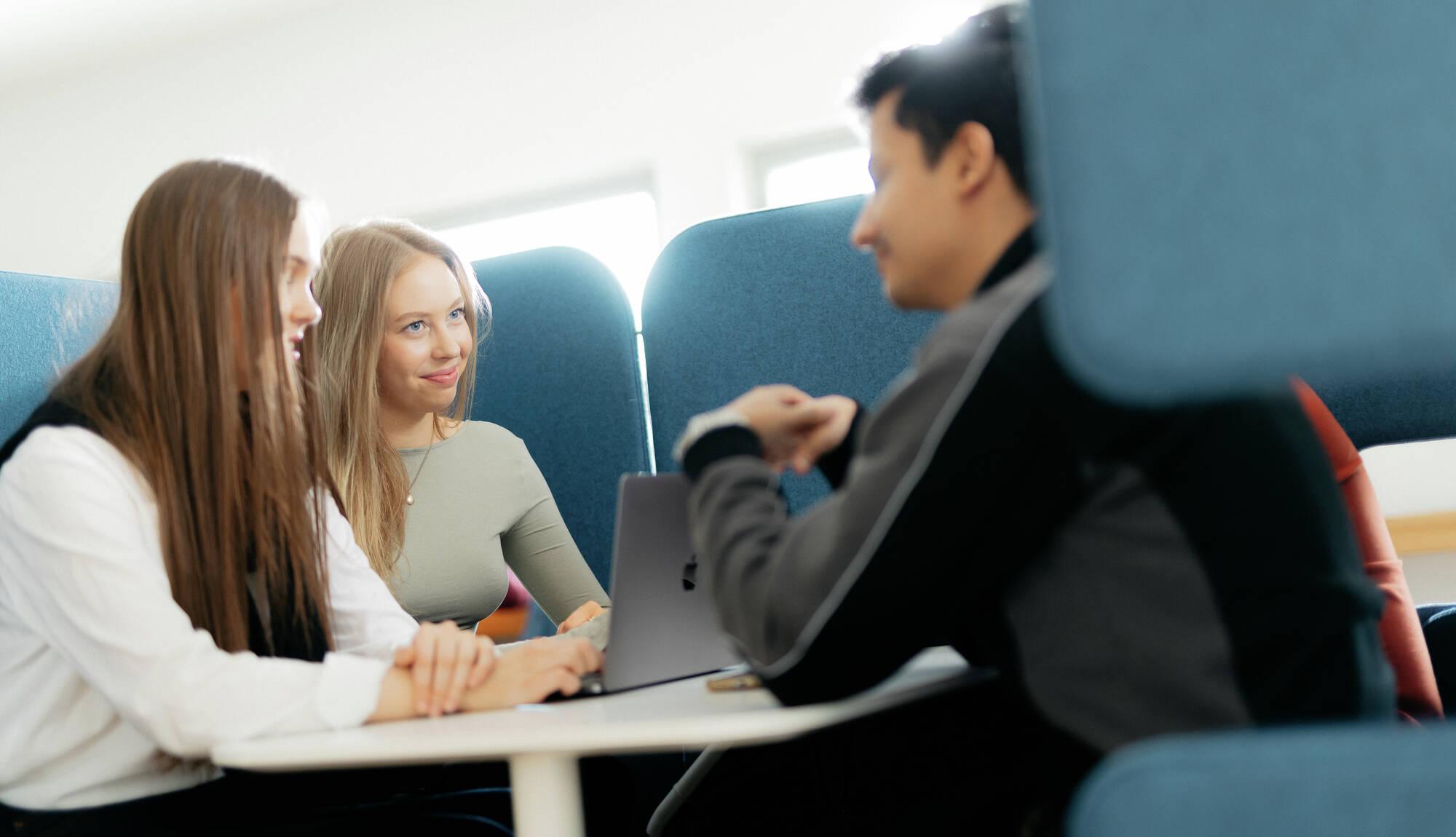 The joint language studies of higher education institutions spark ...